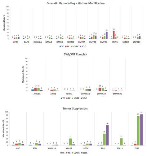 Mutation Rate Of Tumor Suppressors And Chromatin Modifiers Genes In All Download Scientific