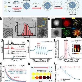 Preparation Of NIR IIb QD Based Single Atom Catalyst With Antioxidant