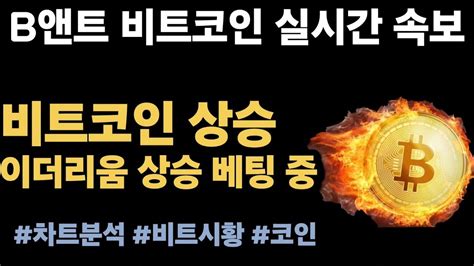 실시간 Live 비트코인 63k 매트릭스포트 암호화폐 채택률 2025년 8 도달 예측 비트코인 비트코인실시간