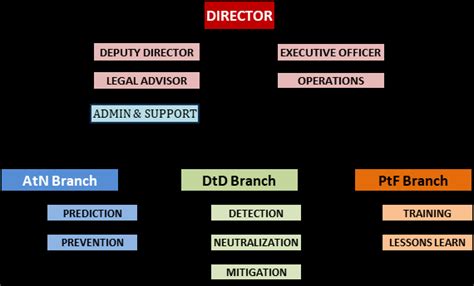 The C Ied Coe Structure Created By The Author Download Scientific