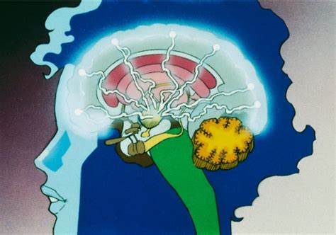 Magnetic Stimulation May Provide More Precise Reliable Activation Of