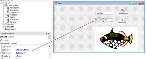 Livebindings In Vcl Part 1 Livebinding Datasets • Delphiaball
