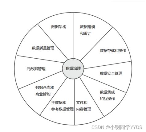 数据治理：数据治理框架和标准 dgi数据治理框架 csdn博客