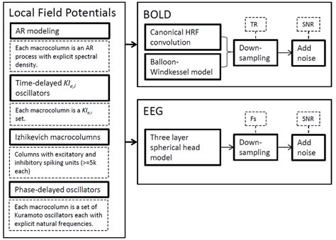 Strategies Used For Synthetic Neural Data Modeling Lfps Are Simulated Download Scientific