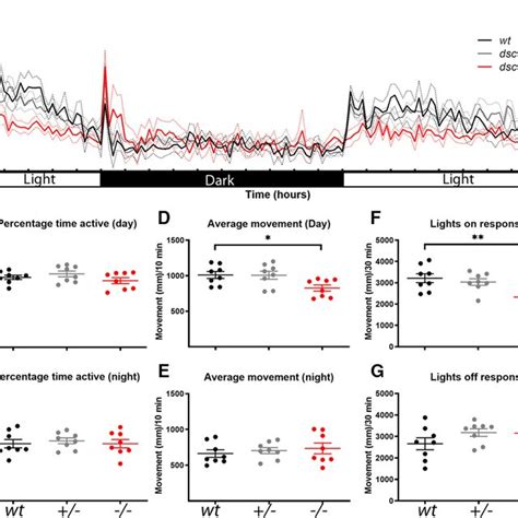 Locomotor Activity In Response To Light A Locomotor Activity Over 24 Download Scientific