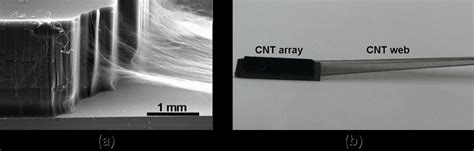 a sem image of a 2 mm long cnt array and b cnt web drawn from a 5