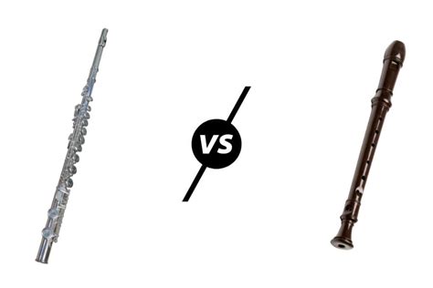 What Are The Differences Between Flute And Recorder My New Microphone
