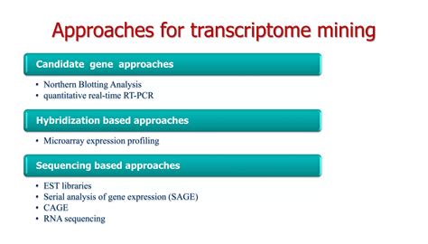 Transcriptomics Approaches Pptx