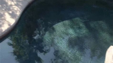 Hardcore Interracial Sex With A Massive Black Dick Anal Addicted