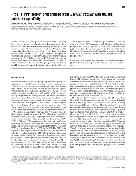 Pdf Prpe A Ppp Protein Phosphatase From Bacillus Subtilis With