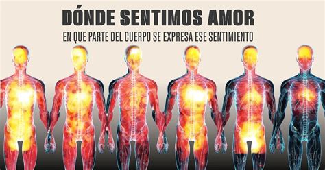 El Mapa Corporal Del Amor En Qué Zona Sentimos Cada Tipo De Afecto