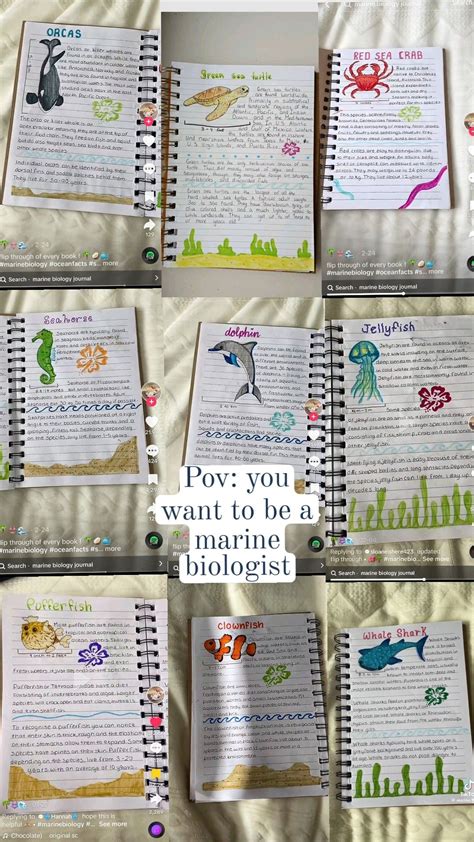 Pin By Cadence On Marine Science In 2025 Marine Biology Schools