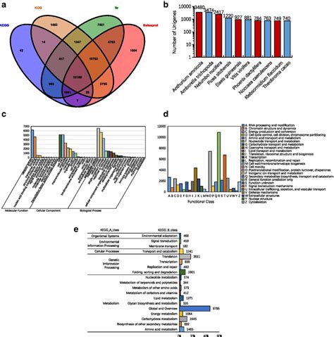 Functional Annotation And Classification Of Unigenes Using Different Download Scientific