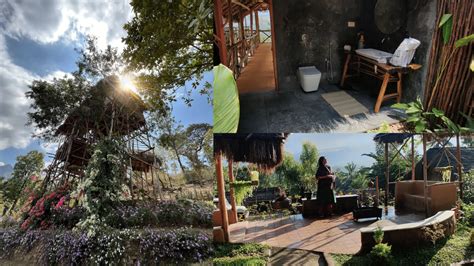 Stay In This Charming Treehouse In Munnar Overlooking The Stunning Valley Of Marayoor