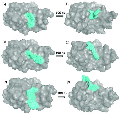 Initial And Final Poses Of The Protein Ligand Complexes After The 100