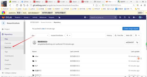 如何使用gitlab上传更新代码？gitlab怎么上传更新网站 Csdn博客