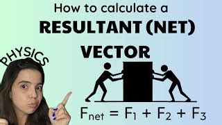 Resultant Vector Vector Addition Grade Physics Doovi