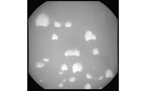 Fluidization And Advanced Imaging Laboratory Ucl Department Of