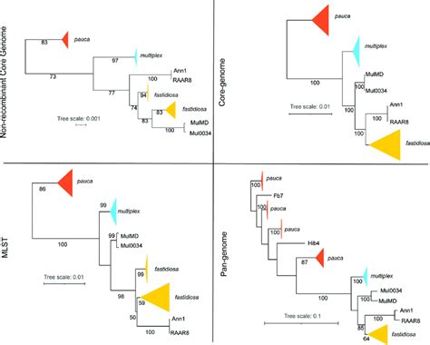 Maximum Likelihood Phylogenies For All Four Genomic Subsets With N