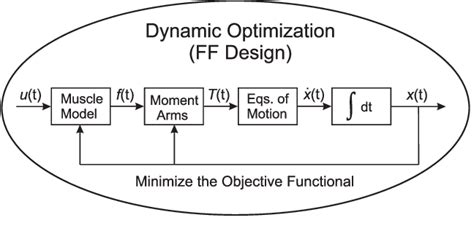 Figure From Forward Dynamic Optimization Of Human Gait Simulations A Global Parameterization