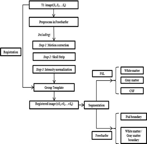 Flow Chart Of Analysis Pipeline Download Scientific Diagram Flow Chart Of Analysis Pipeline Download Scientific Diagram