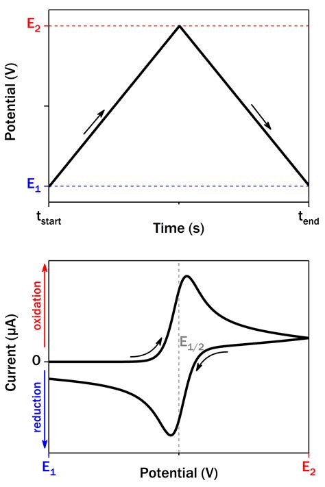 Cyclic Voltammetry Graph At Edith Corlett Blog