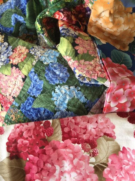 Hydrangea Propagation Susies