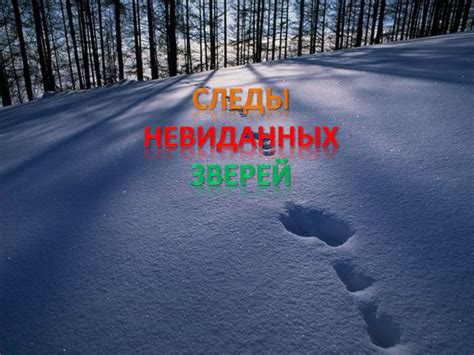 4 кл ГПД Следы невиданных зверей Oksana Feliksov — Livejournal