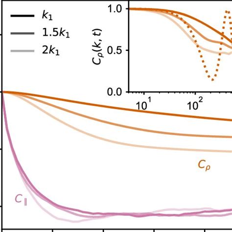 autocorrelation functions of density and longitudinal momentum