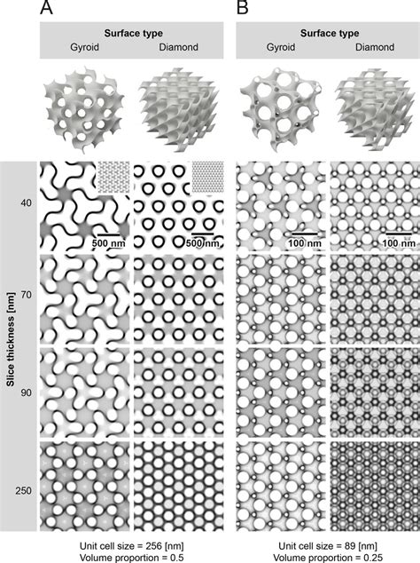 Diamond And Gyroid Type Surfaces And Computer Simulation Of