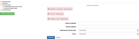 Java Wicket Form Loads Empty Values After Validation Fails Stack