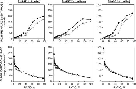 Performance In Successive Ratios Of The Progressive Ratio Schedule Download Scientific Diagram
