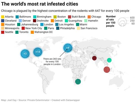The Worlds Top 25 Most Rat Infested Cities Including Entries From The