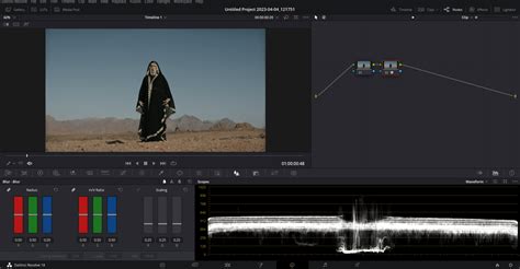 4 fixes to davinci resolve ui scaling issues