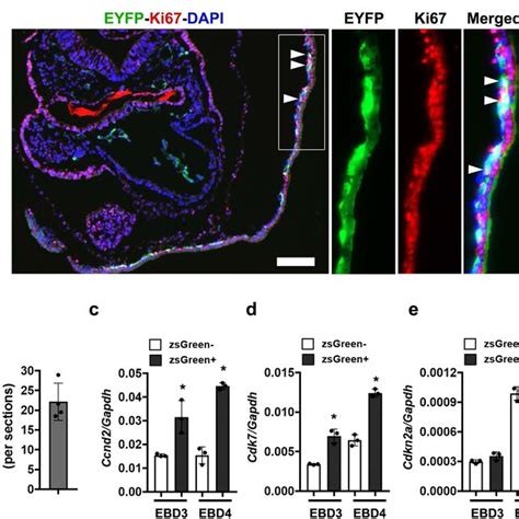 ChIPseq ATACseq And Bulk RNAseq Showed Significant Enrichment Of Cell Download Scientific