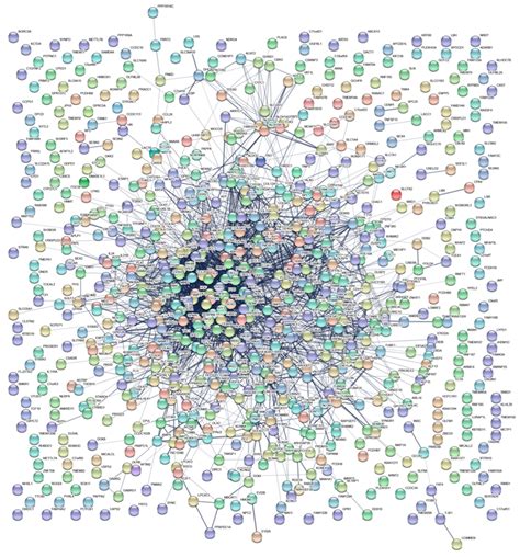 Gene Set Enrichment Analysis Results Download Scientific Diagram