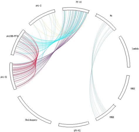 Gene Collinear Analysis Of Ten Pseudomonas Fluorescens Phages These Download Scientific
