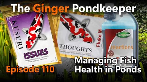 Episode 110 Managing Fish Health In Ponds Issues Thoughts And Reactions YouTube