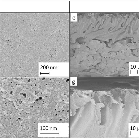 Sem Micrographs Of Membrane A A D Top View Of The Membrane Surface