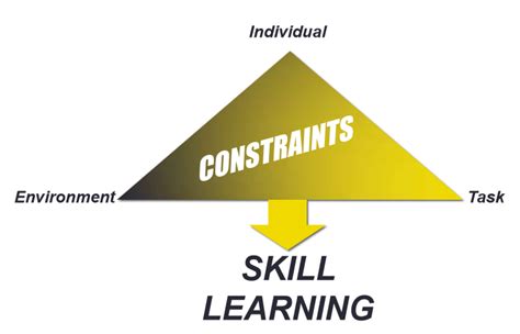 Everything You Need To Know About Skill Acquisition — Hooper University