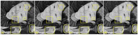 remote sensing special issue remote proximal sensing and