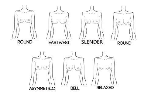 Understanding Common Breast Shapes Breast Body UK