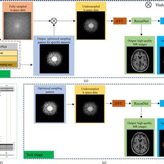 Overview Of The Proposed Joint Learning Network Framework SemuNet A
