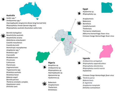 Pathogens Special Issue Genetic Diversity In Ticks And Transmitted