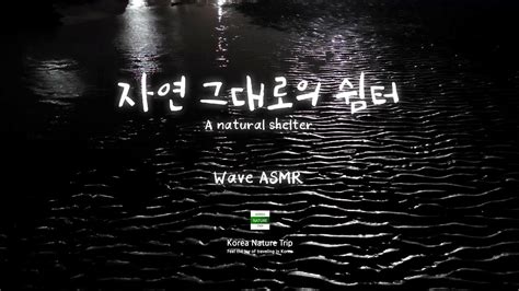 밤 바다 갯벌에 흐르는 바닷물소리와 잔잔한 파도소리 Asmr Youtube