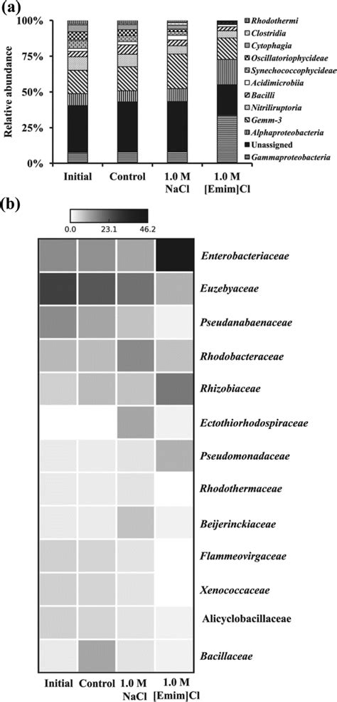 Distribution Of Dominant ≥ 1 Bacterial A Classes And B Families