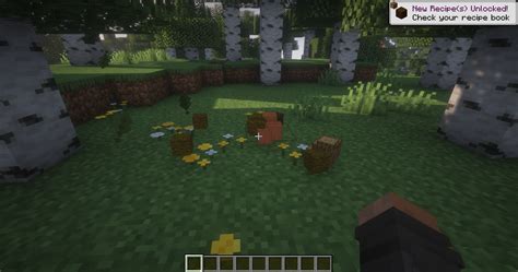 Stackcraft For Minecraft 1 21 5