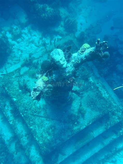 Christ Of The Deep In Florida Keys Stock Image Image Of Swimming Christofthedeep