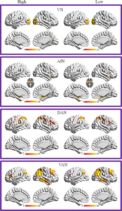 Cortical Representation Of The Four Rsns Of Resting State Fmri Data