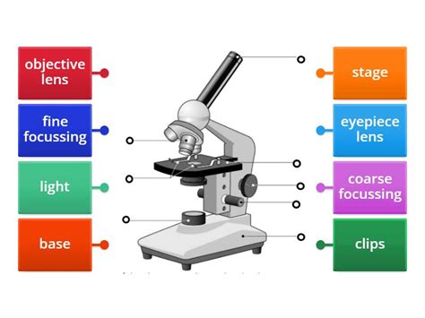 Y7 Labelling A Microscope Labelled Diagram